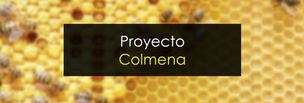 Proyecto Colmena - Novatos Trading Club
